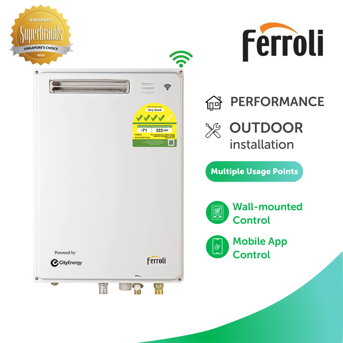 Buy Ferroli GS 20 OE BIP TG(I) (Condo Model) Gas Water Heater in ...
