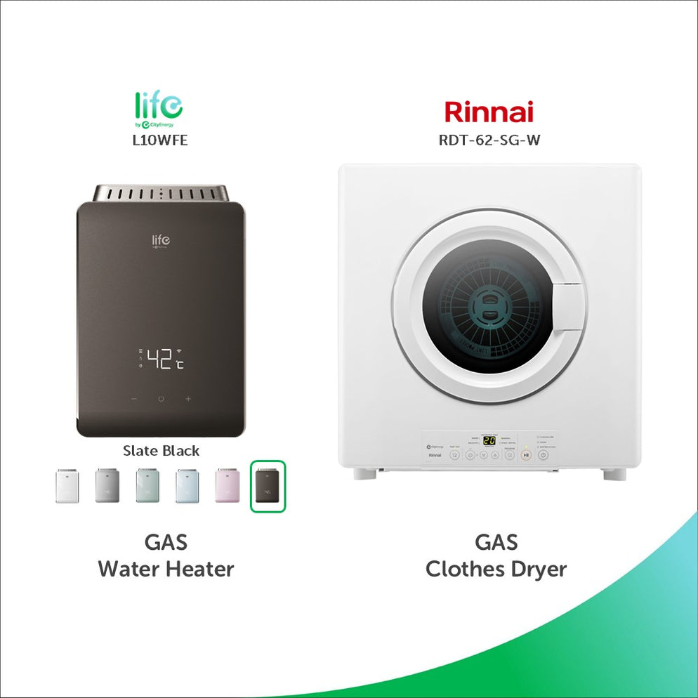 Buy L10WFE - Slate Black (HDB Model) + Gas Clothes Dryer in Singapore ...